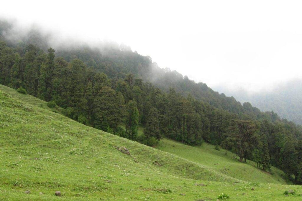 Dayara Bugyal Trek 2026 | Trek Cost & Itinerary | Bon Travel India