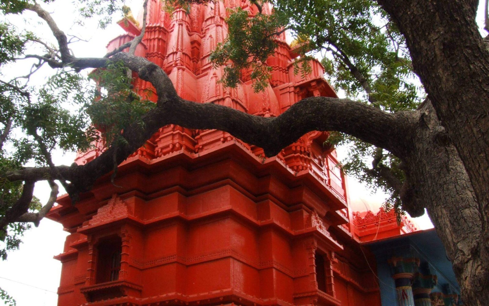 Pushkar Tourism: Best Tourist Places to Visit in Pushkar, Rajasthan