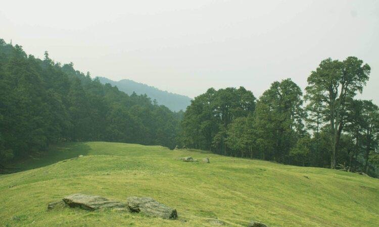 Auli Tourism – Best Places to Visit & Things to Do in Auli