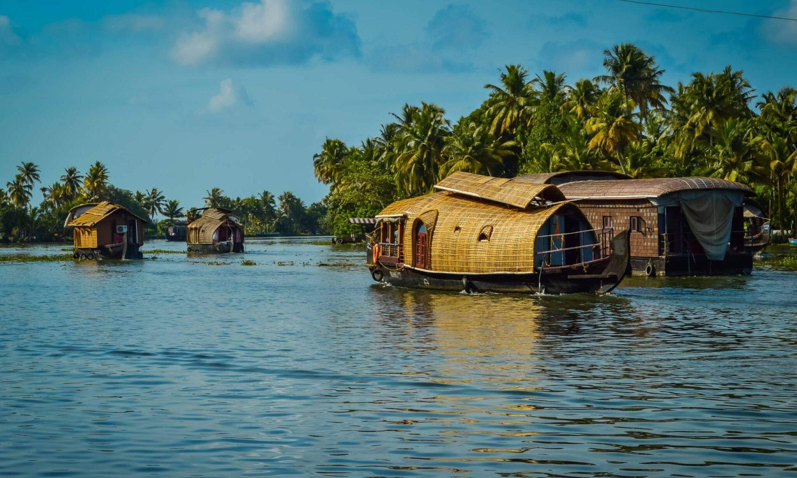 Alleppey Tourism – Top Tourist Places & Things to Do in Alleppey, Kerala