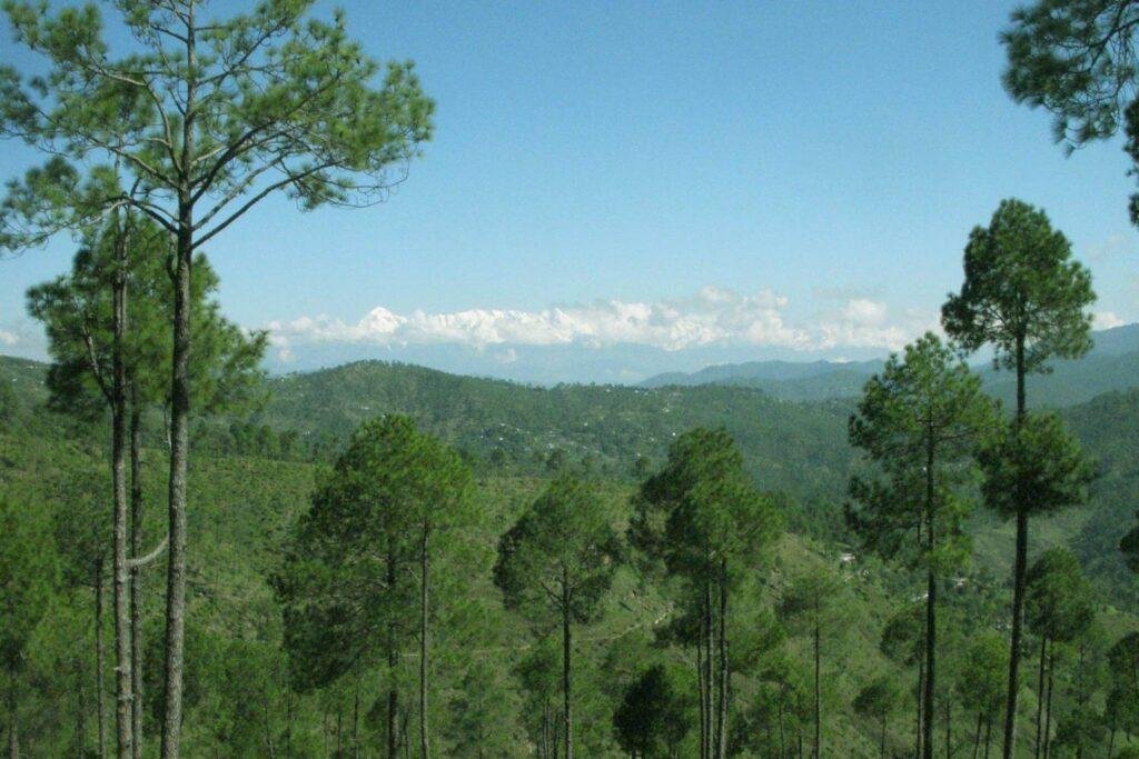 Almora Tourism – Best Tourist Places & Things to Do in Almora