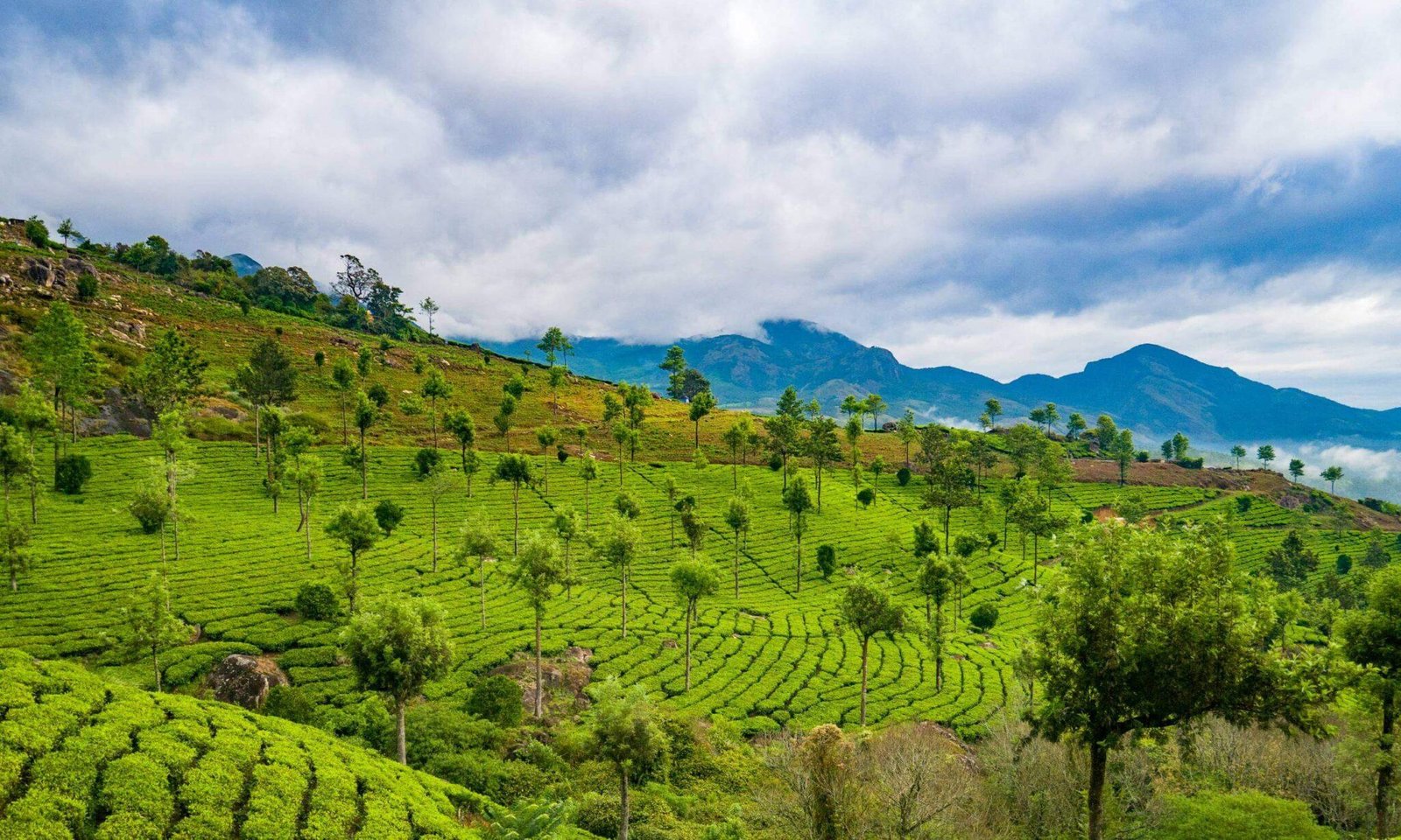 15 Best Hill Stations to Visit in India with Loved Ones | Bon Travel