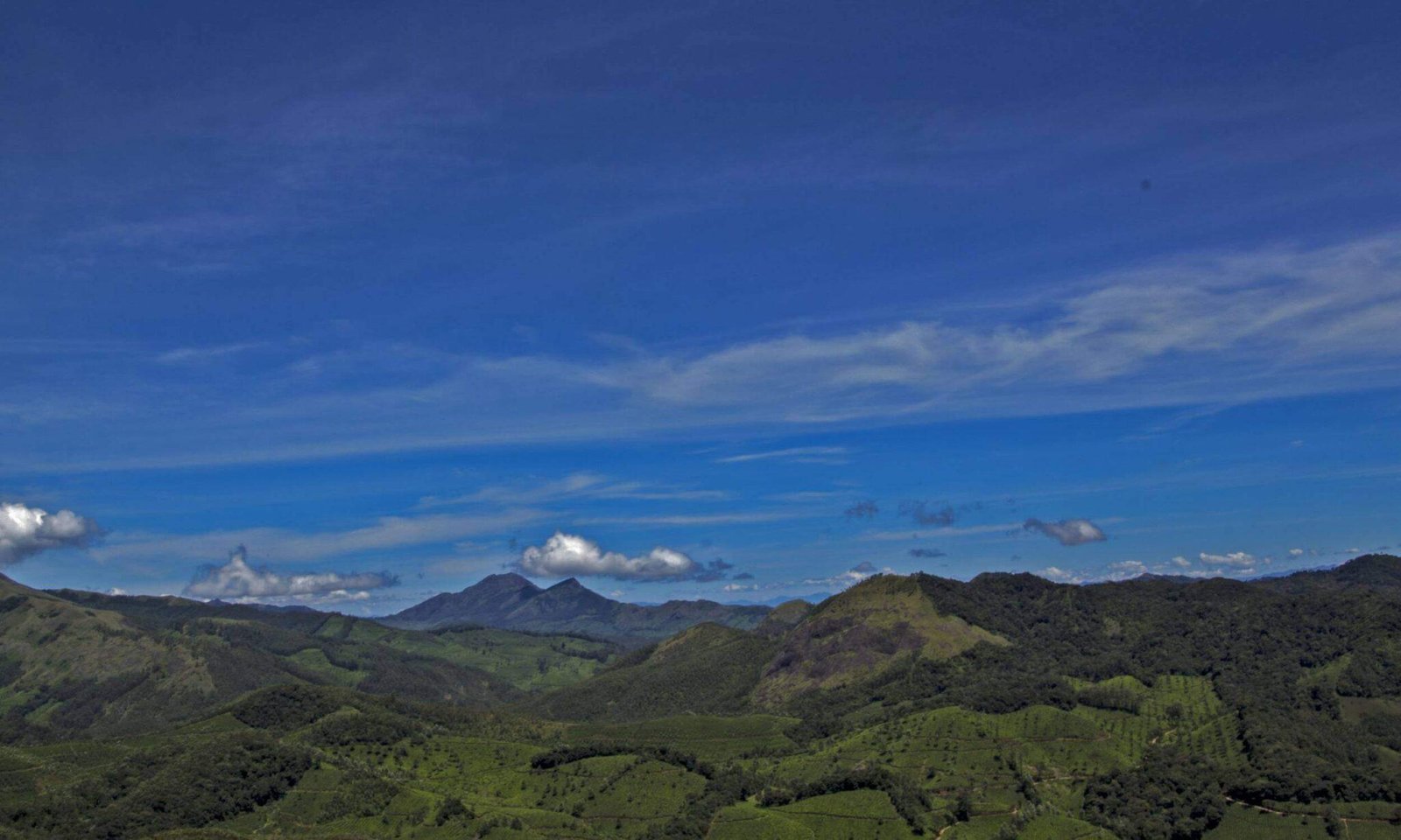 16 Best Places to Visit in Munnar Hill Station in Kerala | Bon Travel India