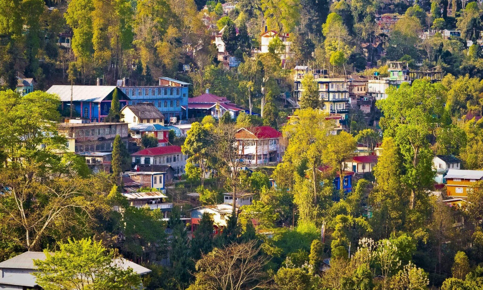 15 Best Hill Stations to Visit in India with Loved Ones | Bon Travel