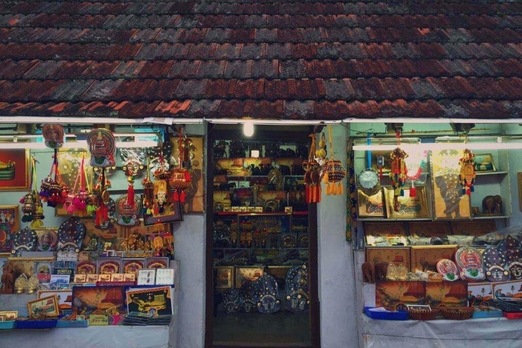 15 Top Things to Do in Kerala | Kerala Tourism | Bon Travel India