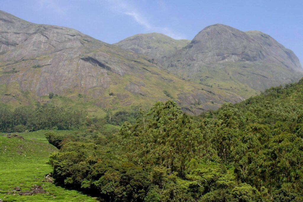 16 Best Places to Visit in Munnar Hill Station in Kerala | Bon Travel India
