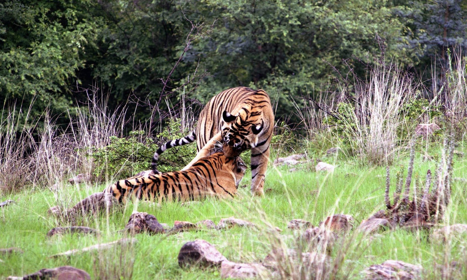 6 Best Places to Visit in October in India | Bon Travel India