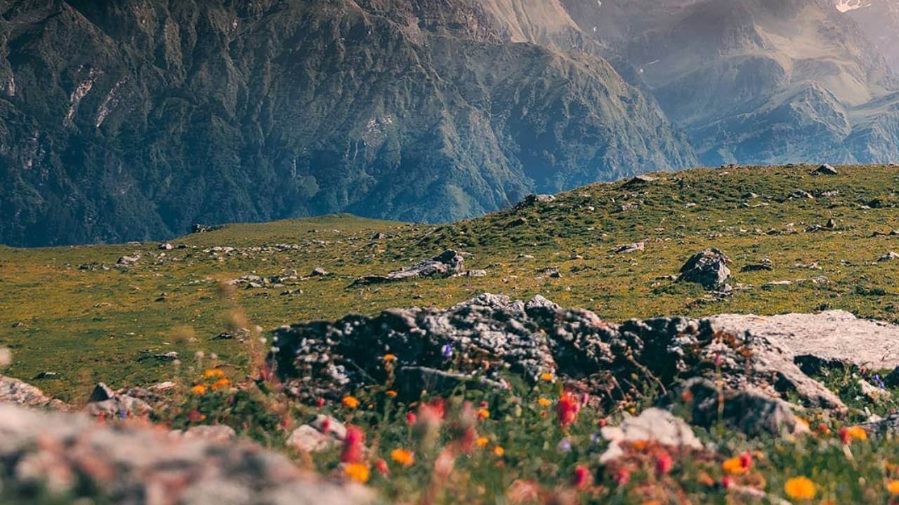 Gulabi Kantha Trek 2025 | Uttarakhand Himalayas | Bon Travel India