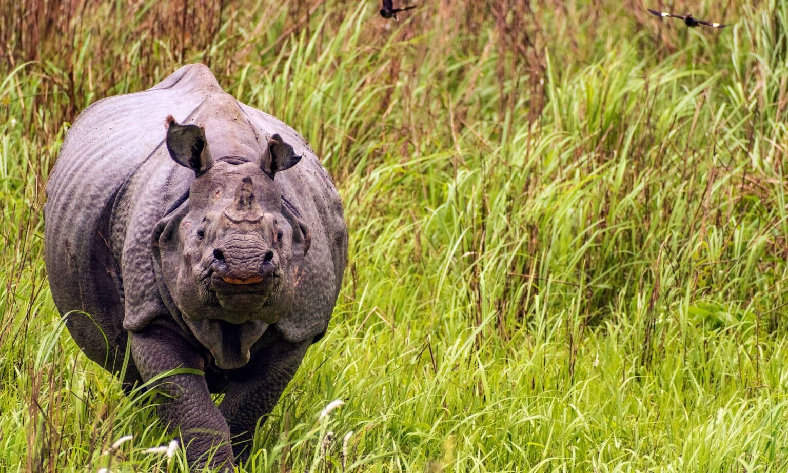 5 Best Places to Visit in Assam | Bon Travel India